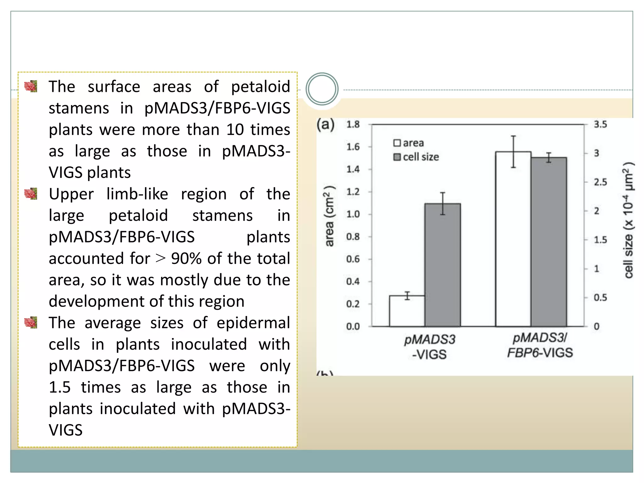 1. ABCDE flower model | PPTX