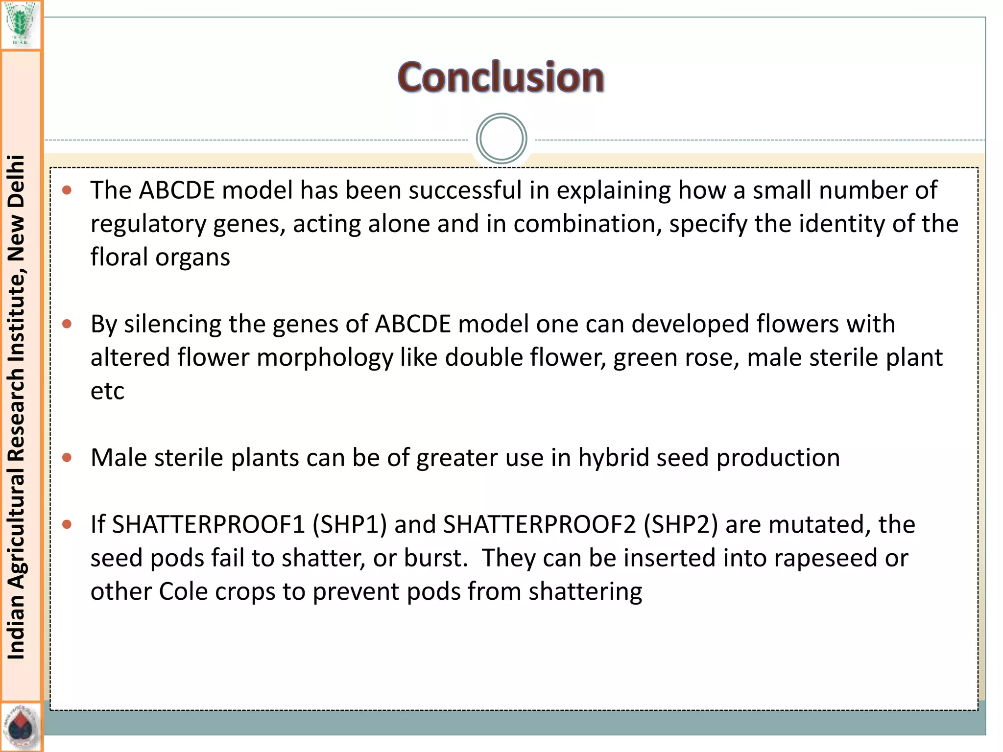 1. ABCDE flower model | PPTX
