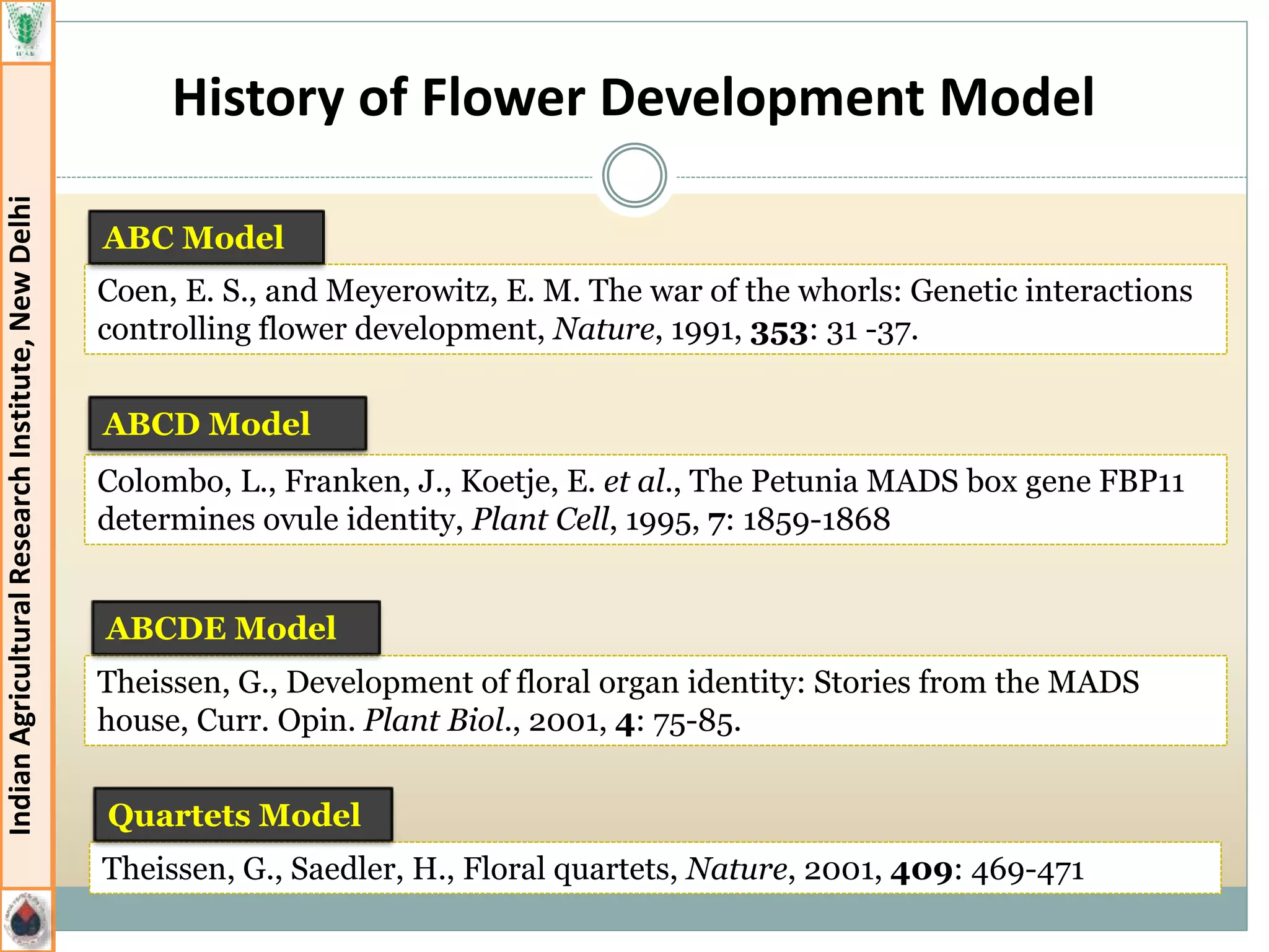 1. ABCDE flower model | PPTX