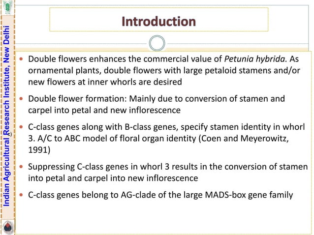 1. ABCDE flower model | PPTX