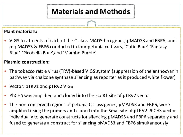 1. ABCDE flower model | PPTX
