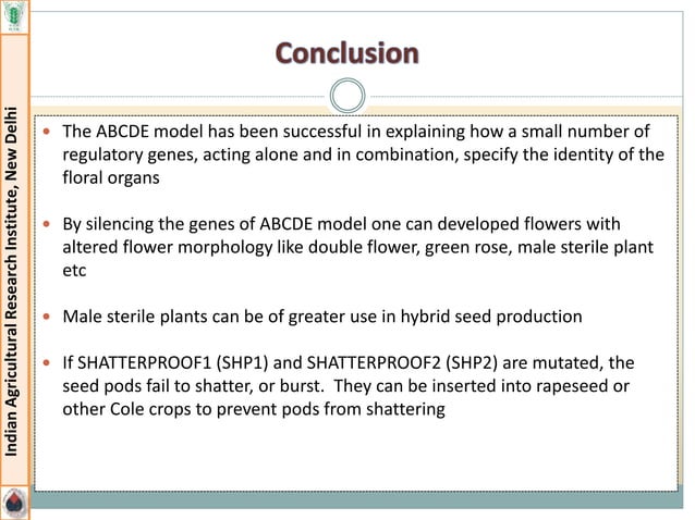 1. ABCDE flower model | PPTX