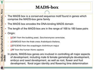 1. ABCDE flower model | PPTX