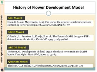 1. ABCDE flower model | PPTX