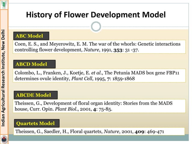 1. ABCDE flower model | PPTX