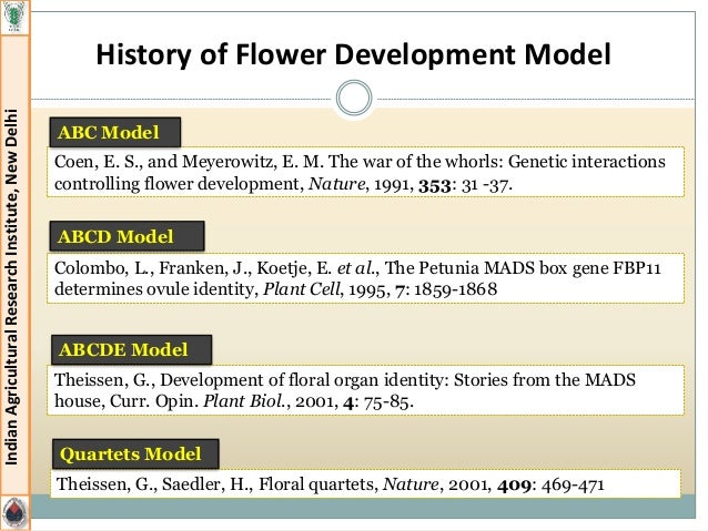 1. ABCDE flower model