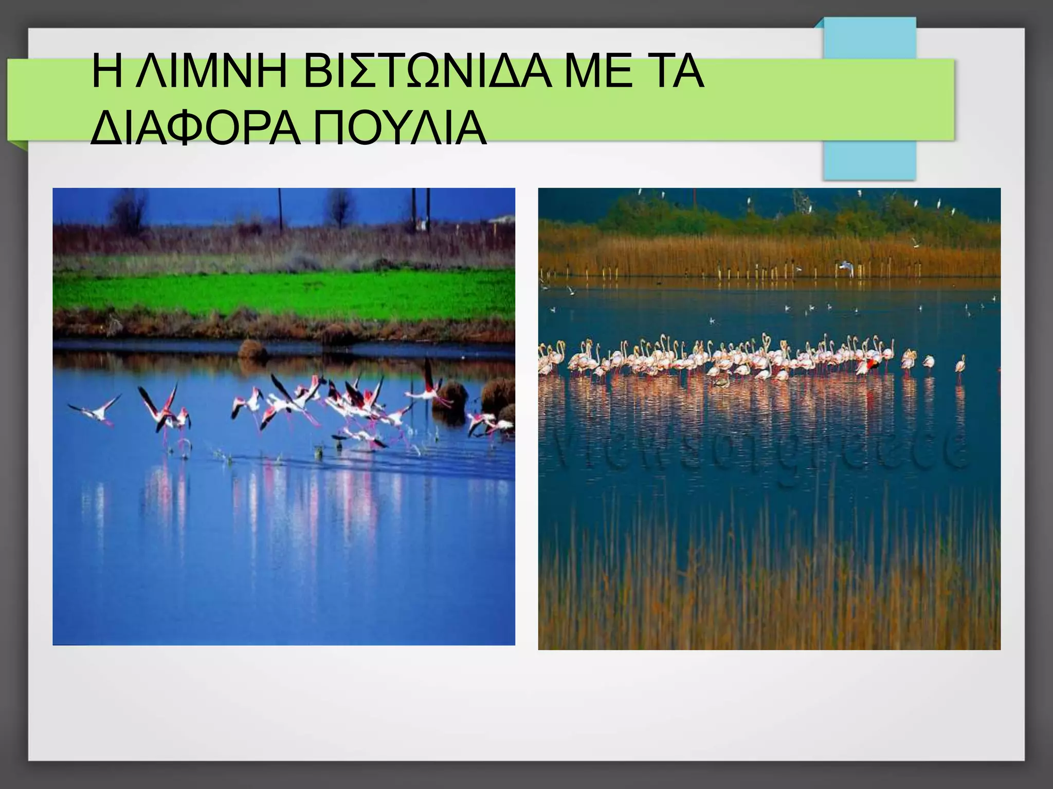 ΑΠΟ ΤΟΝ ΤΟΠΟ ΜΟΥ Σ΄ΟΛΗ ΤΗΝ ΕΛΛΑΔΑ - ΞΑΝΘΗ | PPT