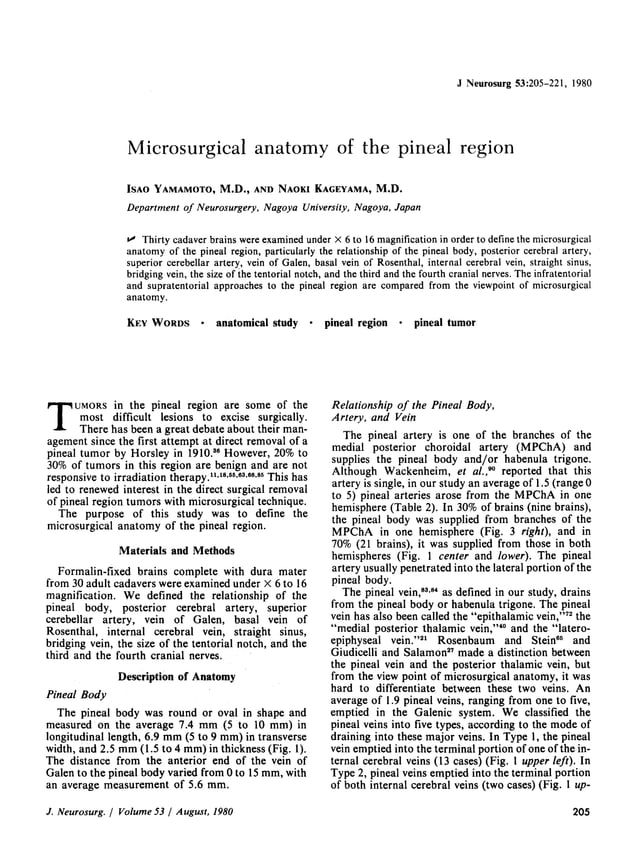 Microsurgical anatomy of the pineal region | PDF | Ear, Nose and Throat ...