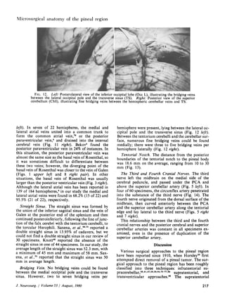 Microsurgical anatomy of the pineal region | PDF