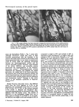 Microsurgical anatomy of the pineal region | PDF
