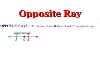 Geometry Opposite Rays