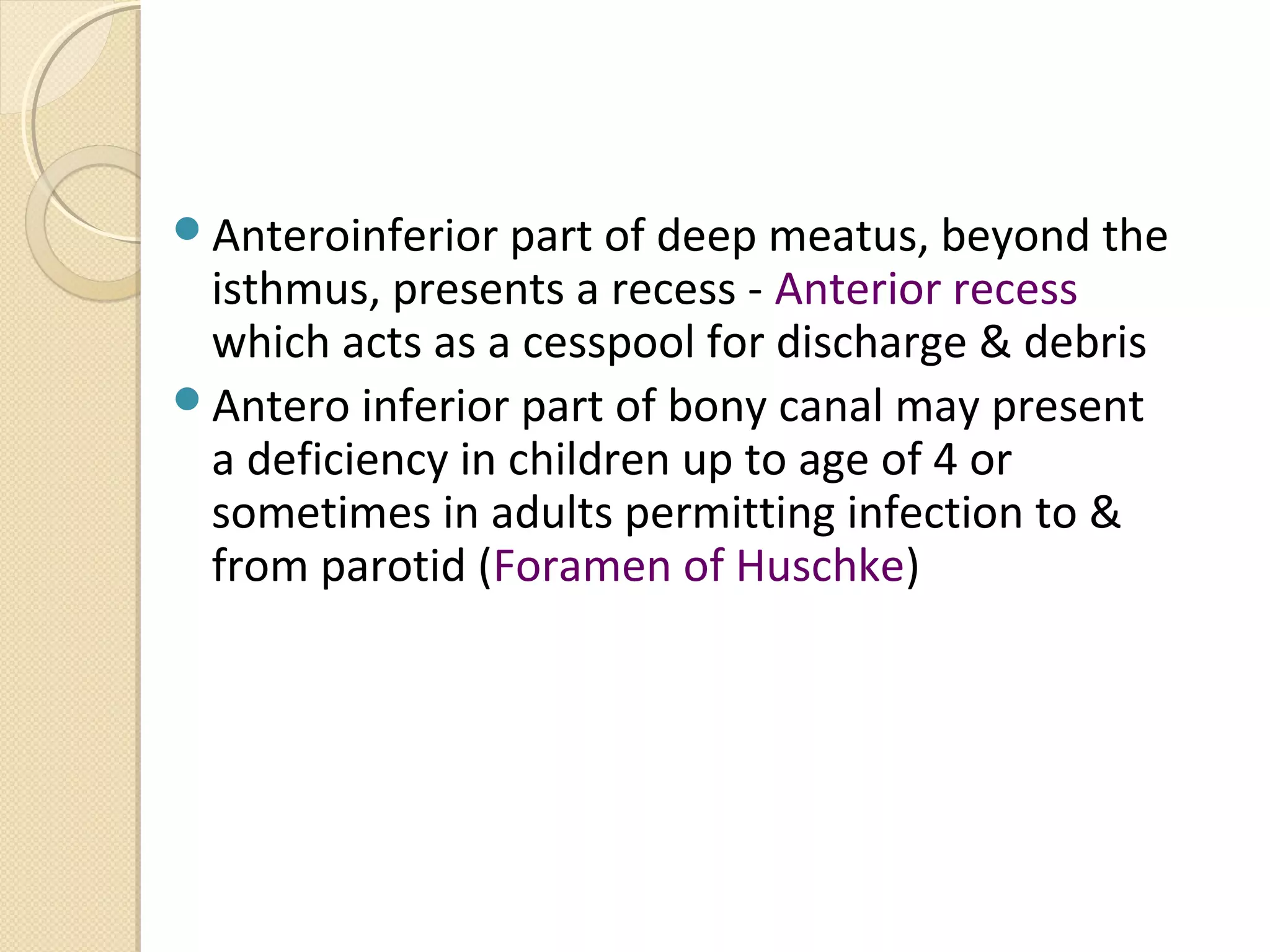 Anatomy of external ear | PPT