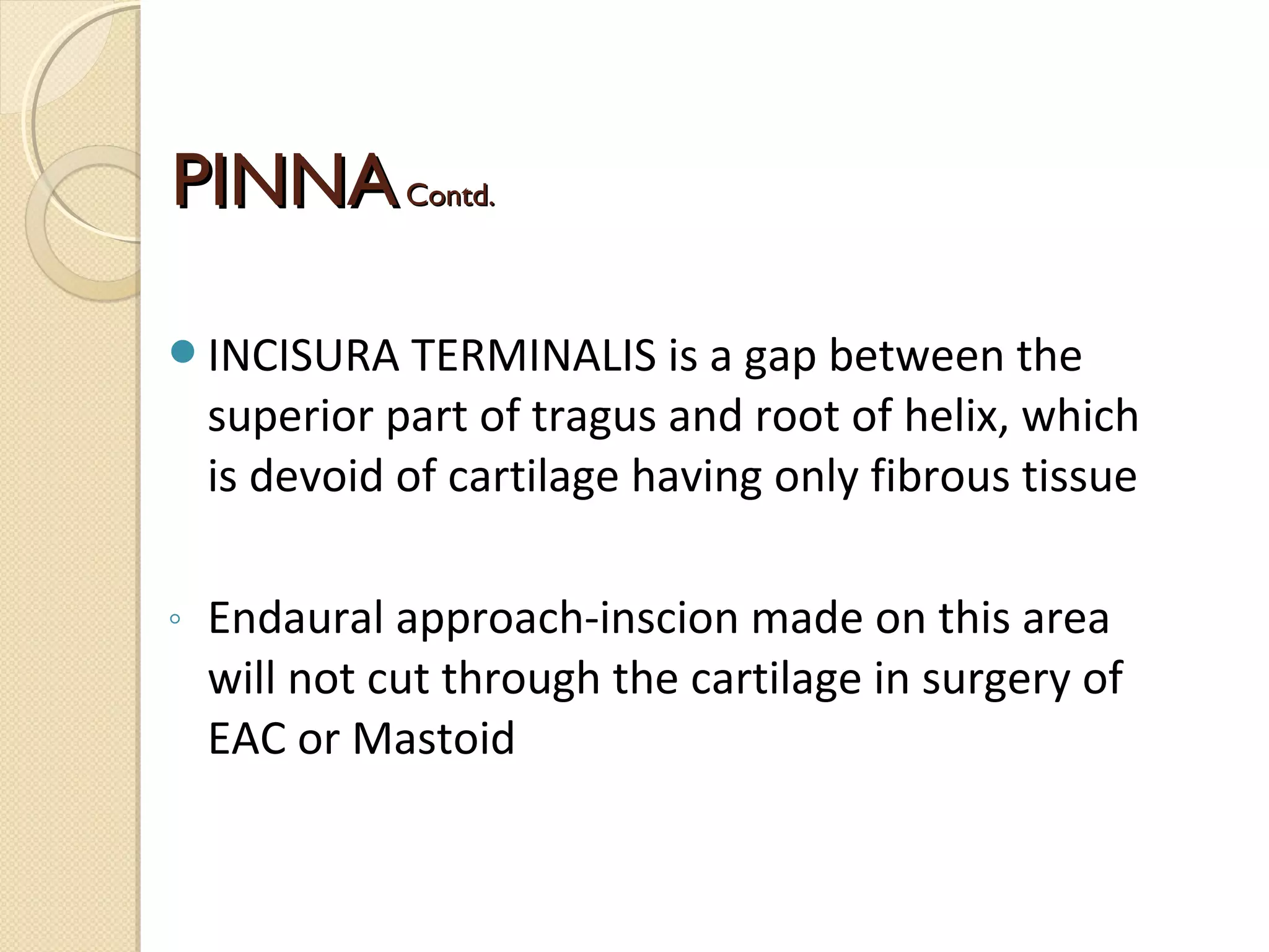 Anatomy of external ear | PPT