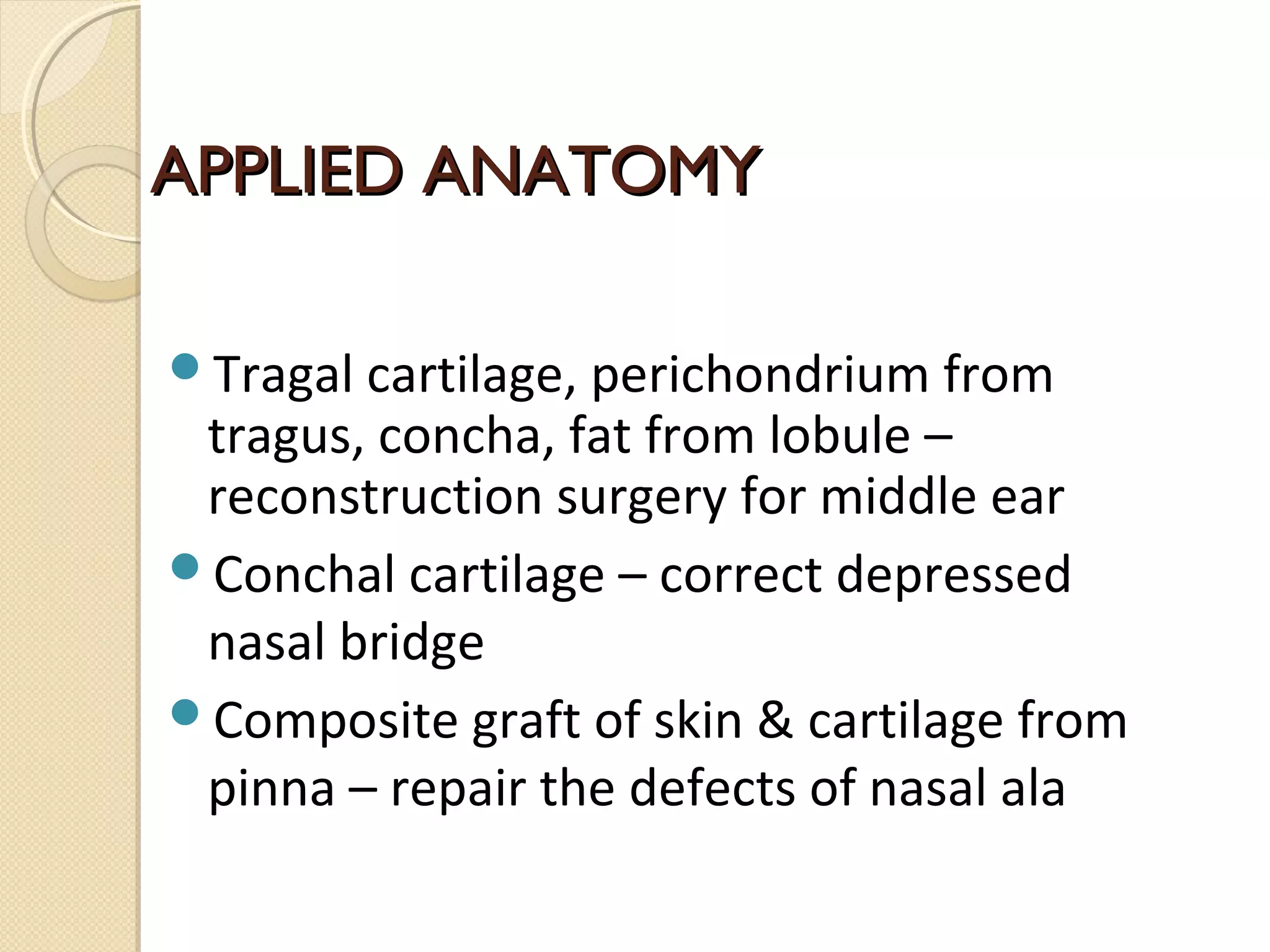 Anatomy of external ear | PPT