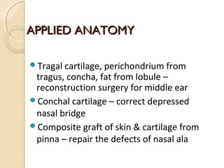 Anatomy of external ear | PPT