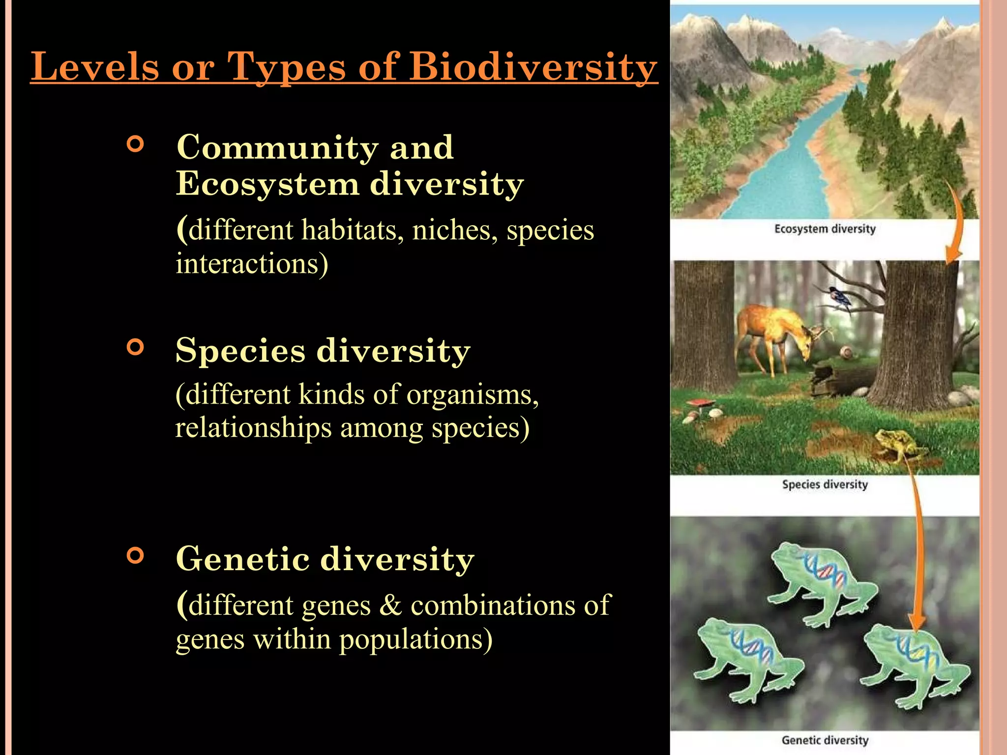 Biodiversity & Conservation | PPT