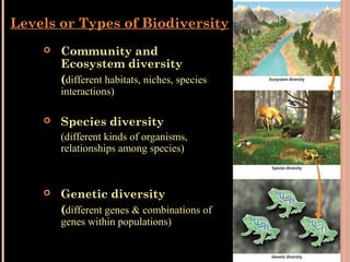 Biodiversity & Conservation | PPT
