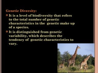 Biodiversity & Conservation | PPT