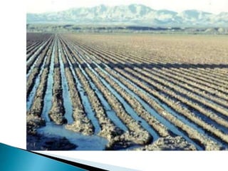 1.surface irrigation and its methods A Lecture By Mr. Allah Dad Khan ...