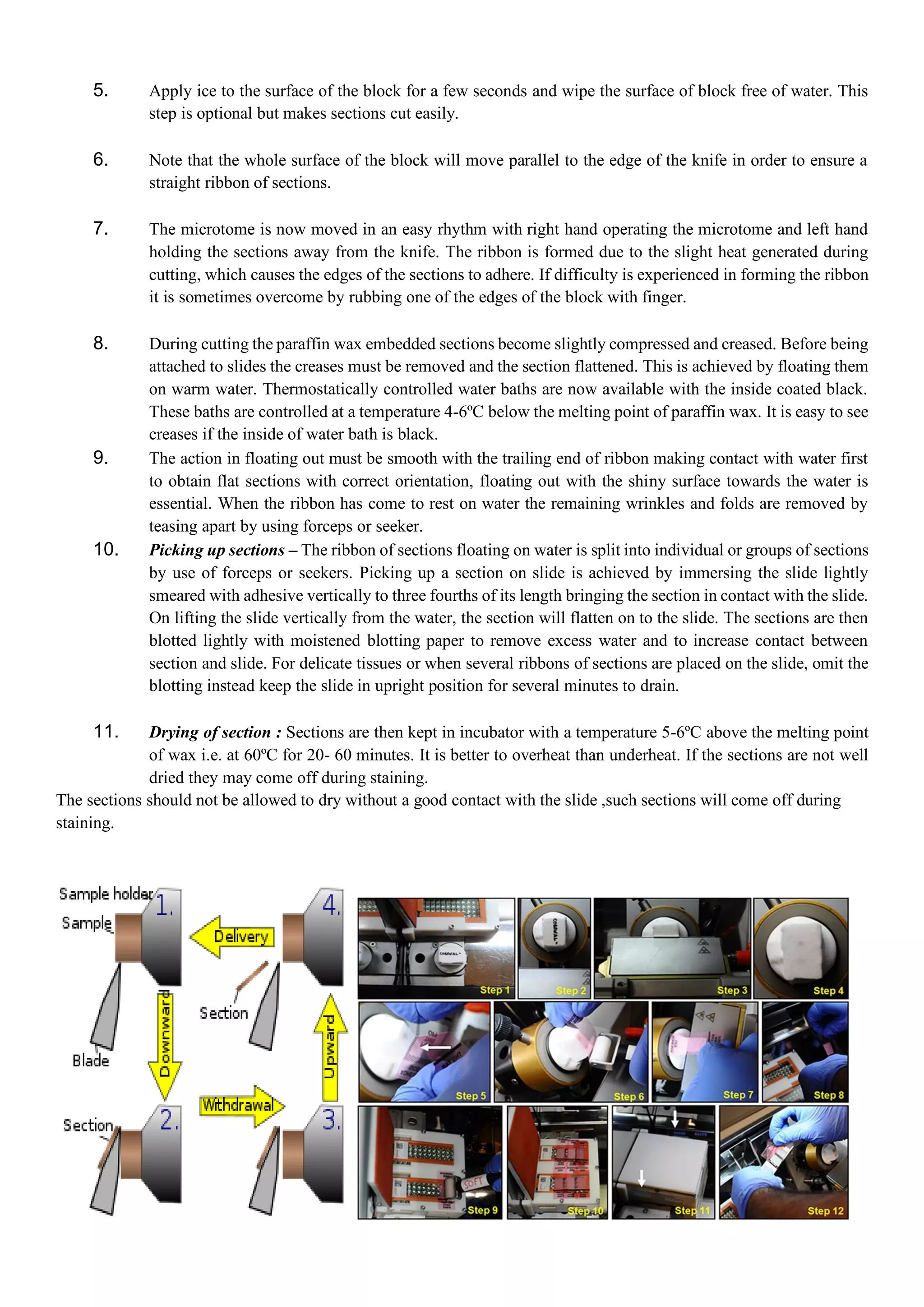 Medical Laboratory technology Lab Manual for MLT students | PDF