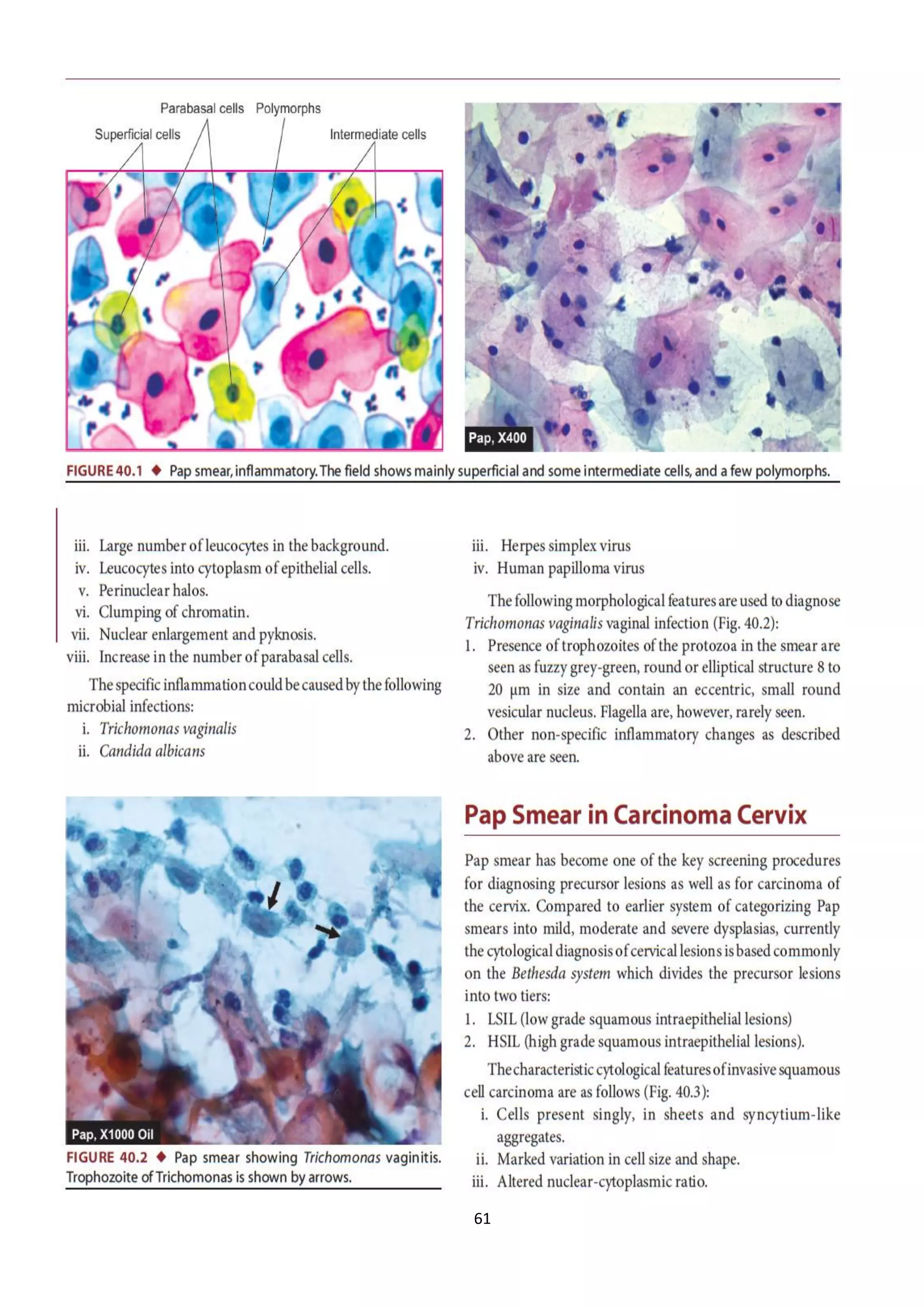 Medical Laboratory technology Lab Manual for MLT students | PDF