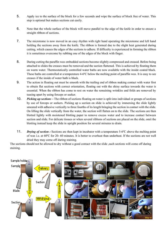Medical Laboratory technology Lab Manual for MLT students | PDF