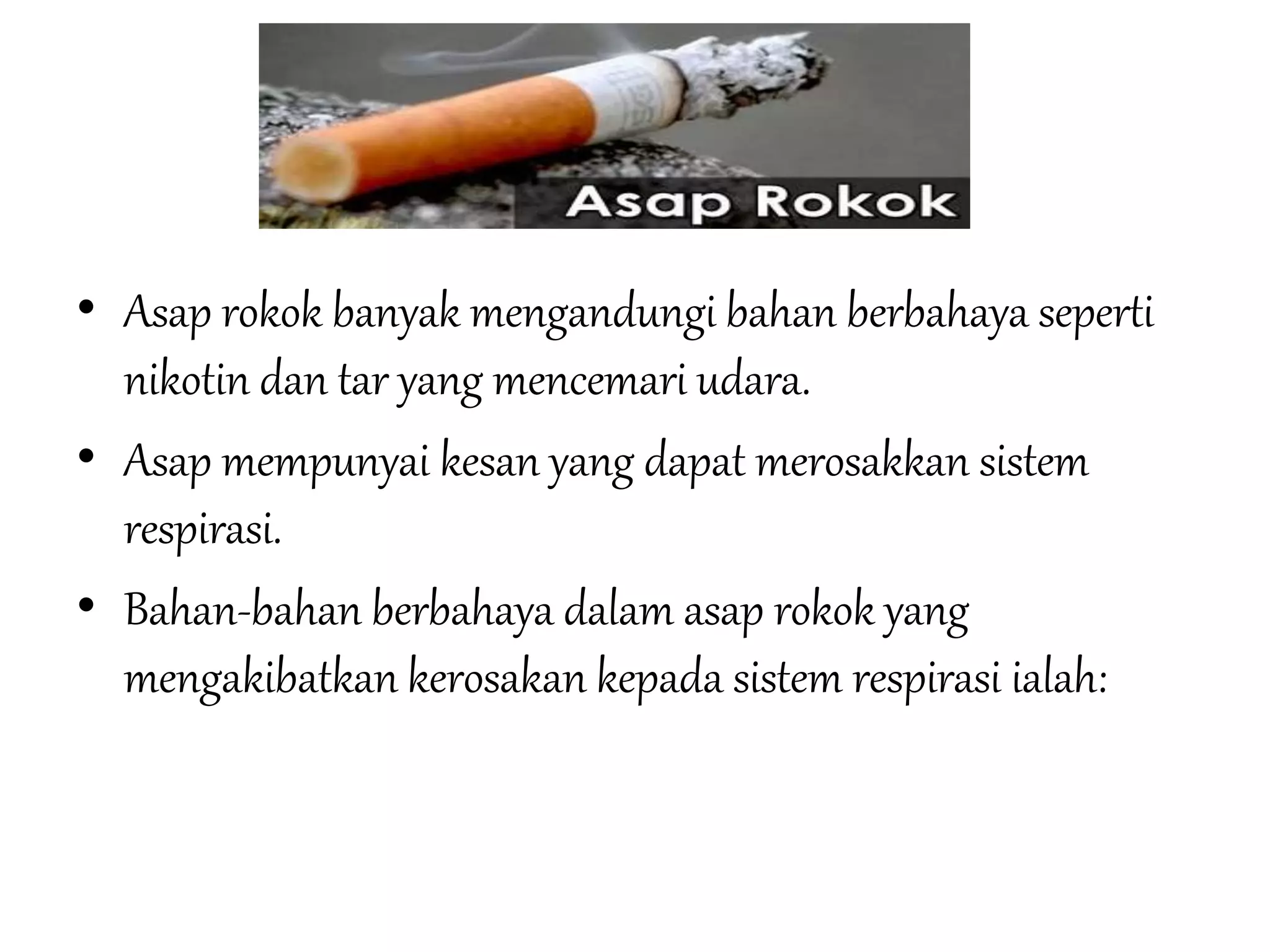 1.3 sistem respirasi | PPTX