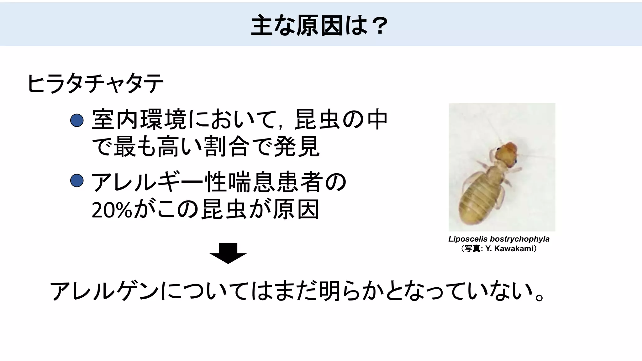 Offer Box用研究プレゼン | PPT