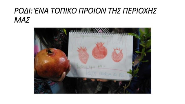 ΡΟΔΙ: ΕΝΑΣ ΘΥΣΑΥΡΟΣ ΓΙΑ ΤΗΝ ΥΓΕΙΑ ΜΑΣ | PPTX
