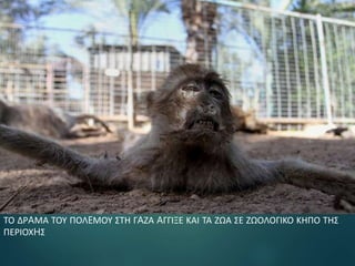 ΠΟΛΕΜΟΣ | PPT