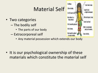 Self and Other in The Soul Mountain, Chinese Literature | PPTX