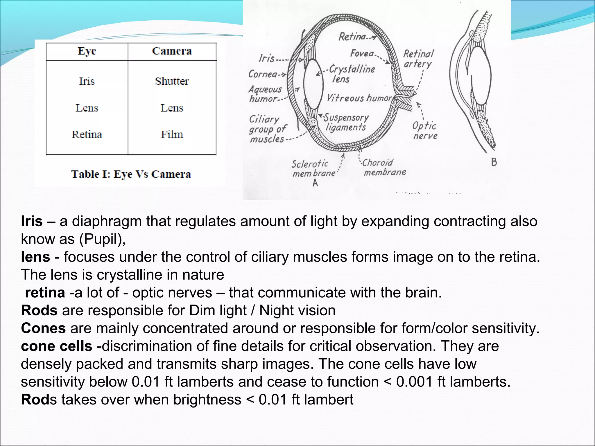 1.2 eye & vision | PPT