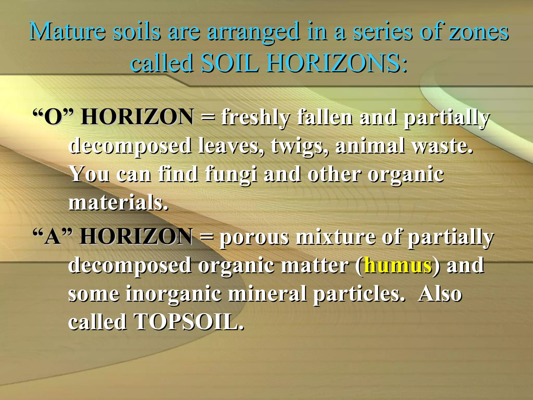 the soil system | PPT