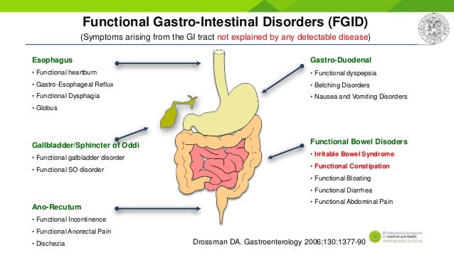 Functional Digestive Disorders and the Role of Diet by Giovanni Barba…