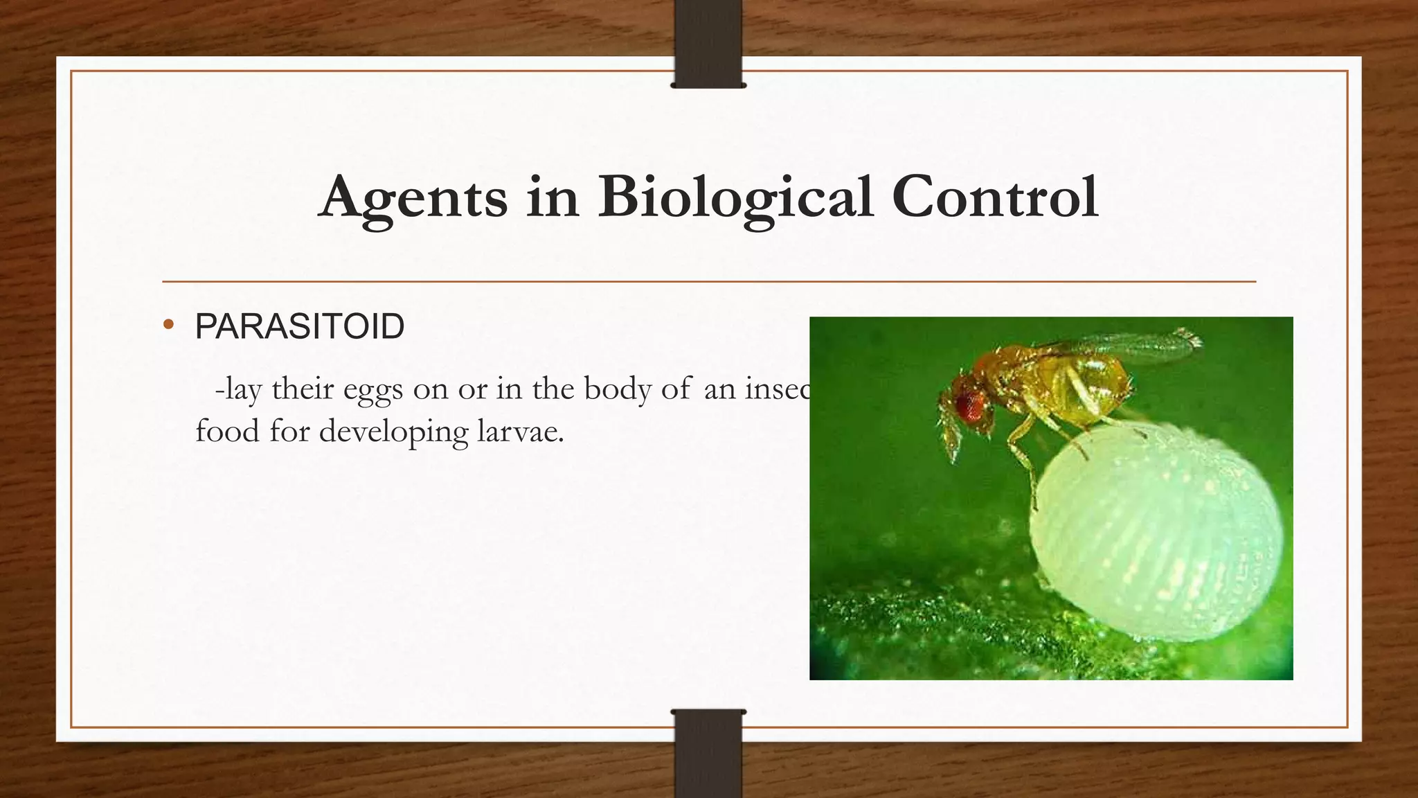 Biological Control | PPT