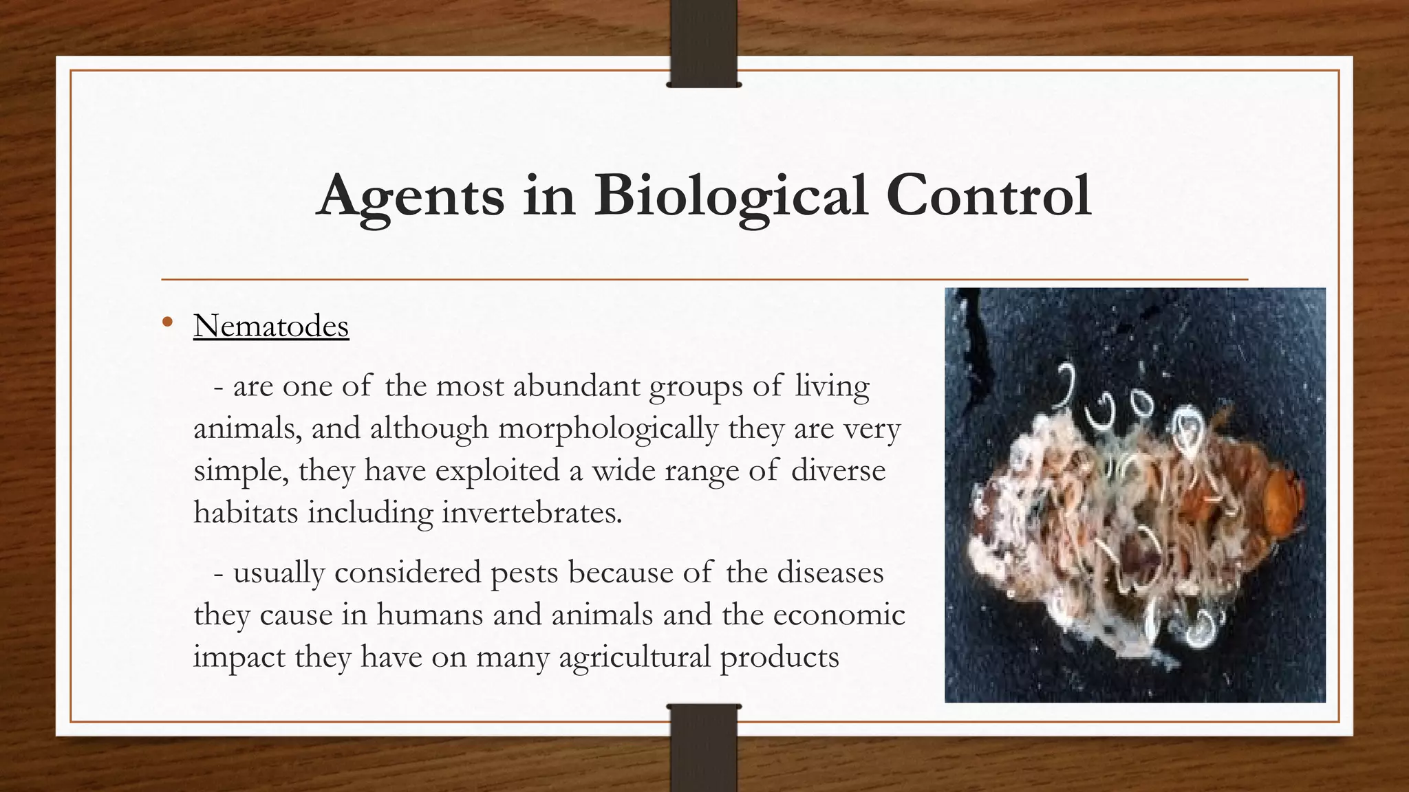 Biological Control | PPT
