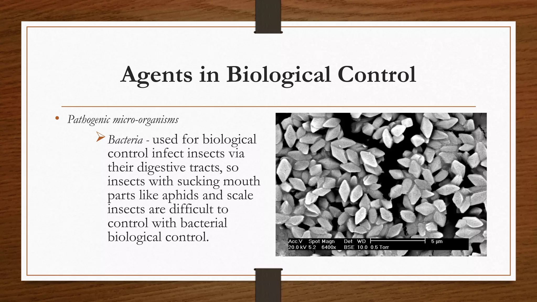 Biological Control | PPT