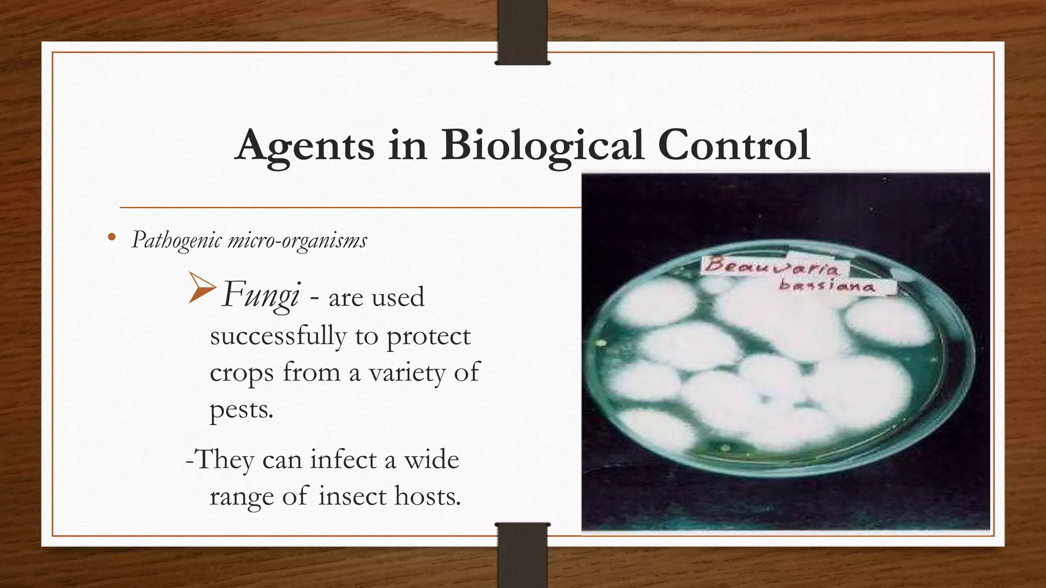 Biological Control | PPT
