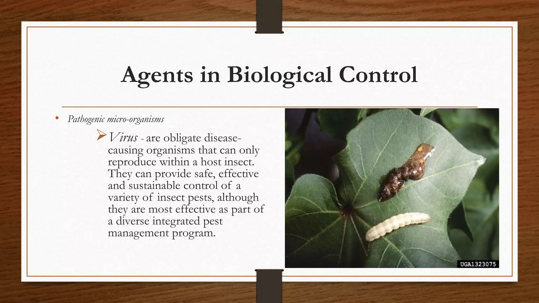 Biological Control | PPT