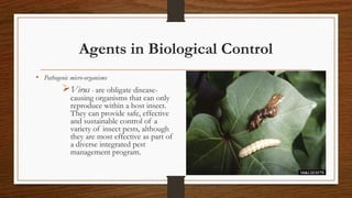Biological Control | PPT