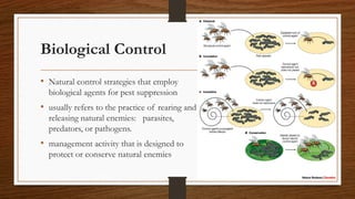 Biological Control | PPT
