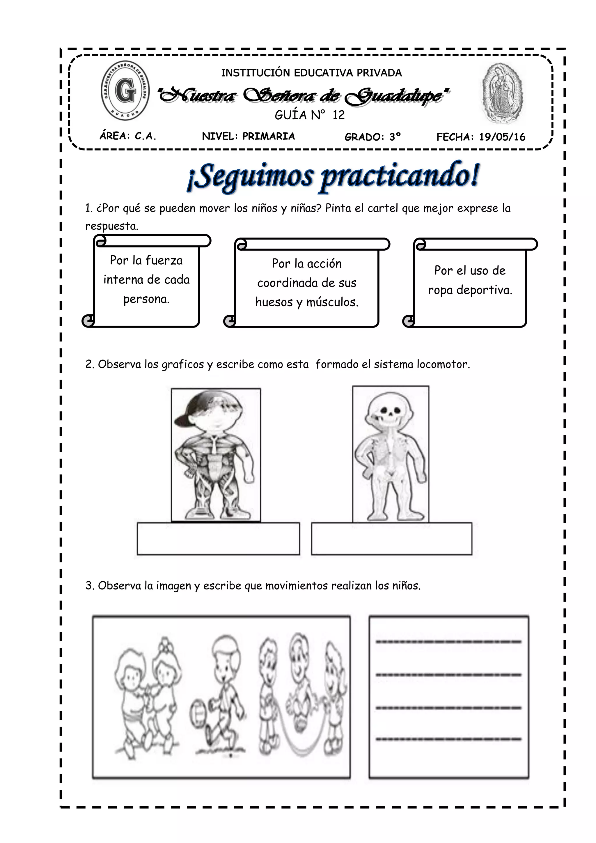 sistema locomotor | PDF