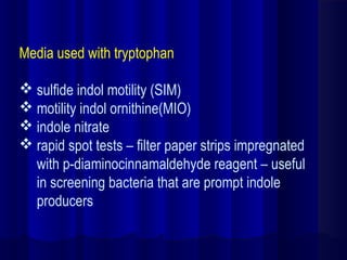 Spot Indole Negative
