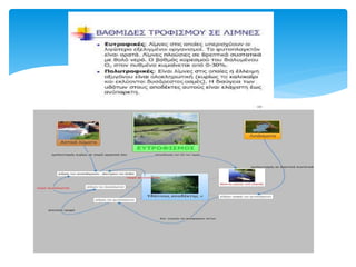 Ρύπανση των υδάτων από αστικά και βιομηχανικά λύματα, ευτροφισμός (1 ...