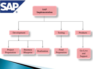 SAP ERP History & Implementation Details | PPSX | Business | Business ...