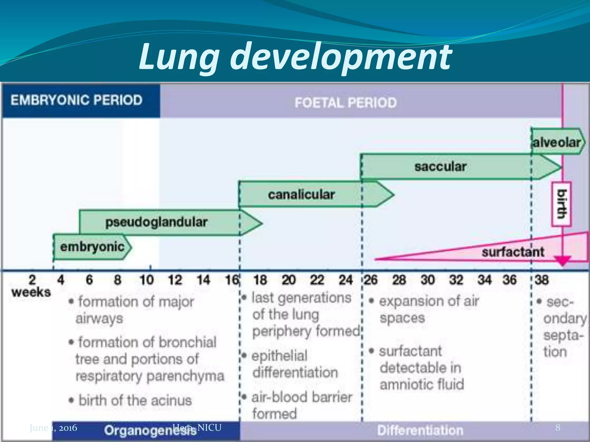 1. lung mechanics | PPTX