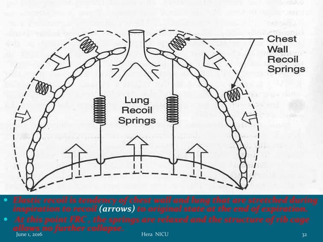 1. lung mechanics | PPT