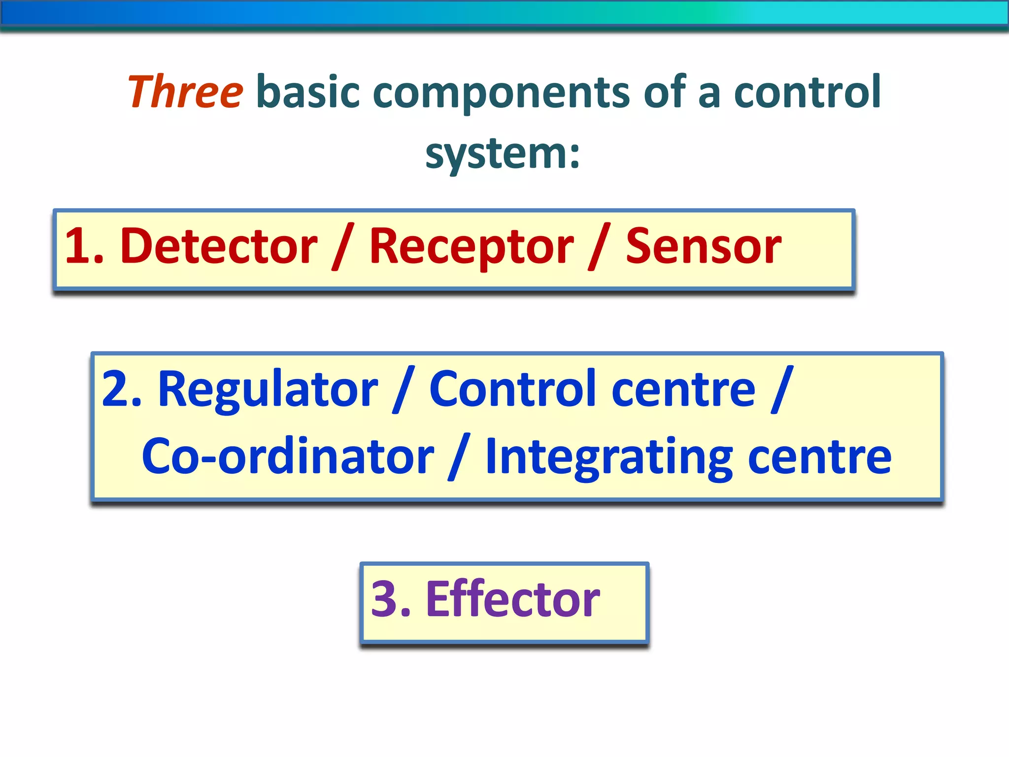 COORDINATION & RESPONSE PART 3 - HOMEOSTATIS - URINE FORMATION | PPT