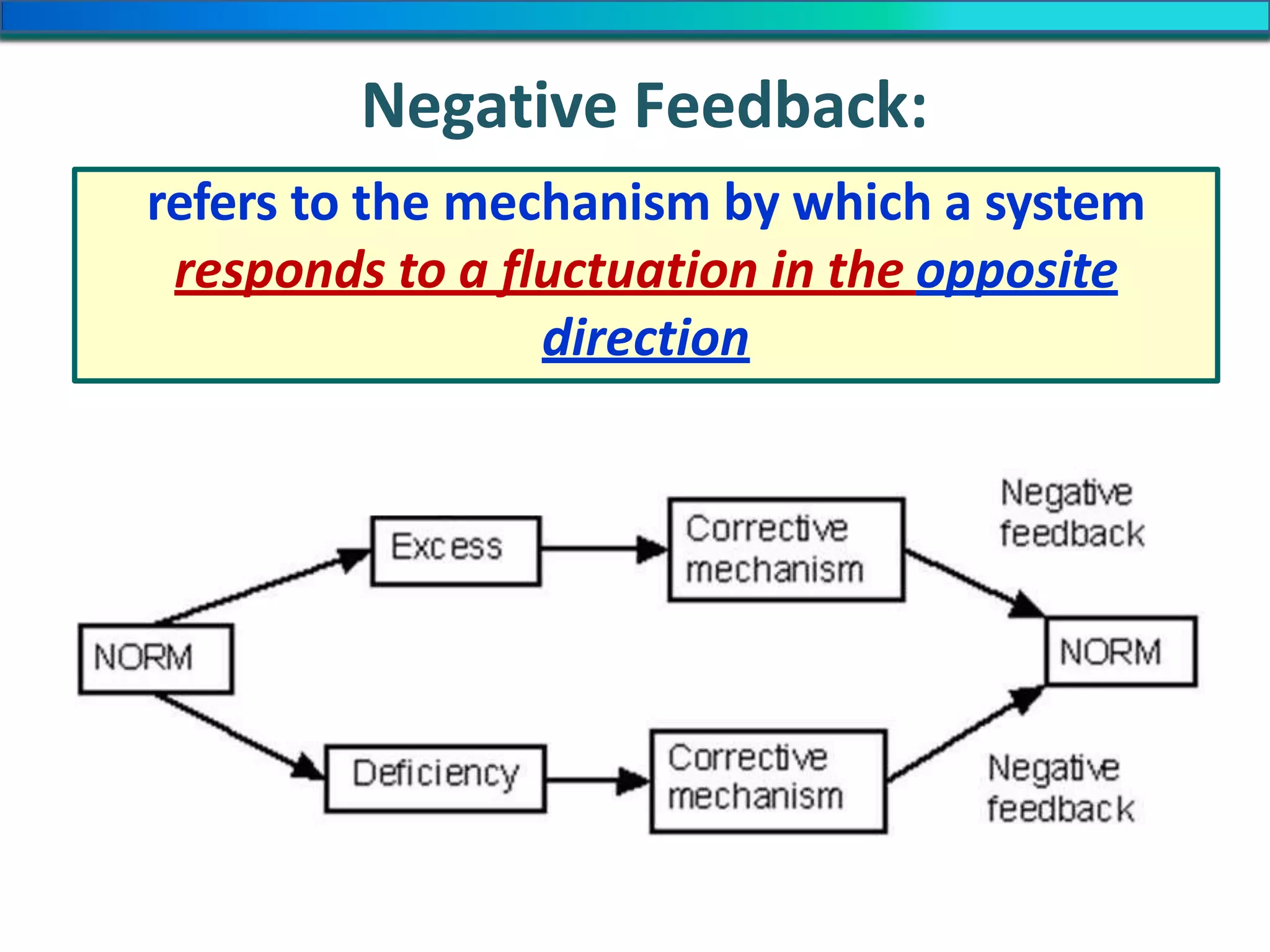 COORDINATION & RESPONSE PART 3 - HOMEOSTATIS - URINE FORMATION | PPT