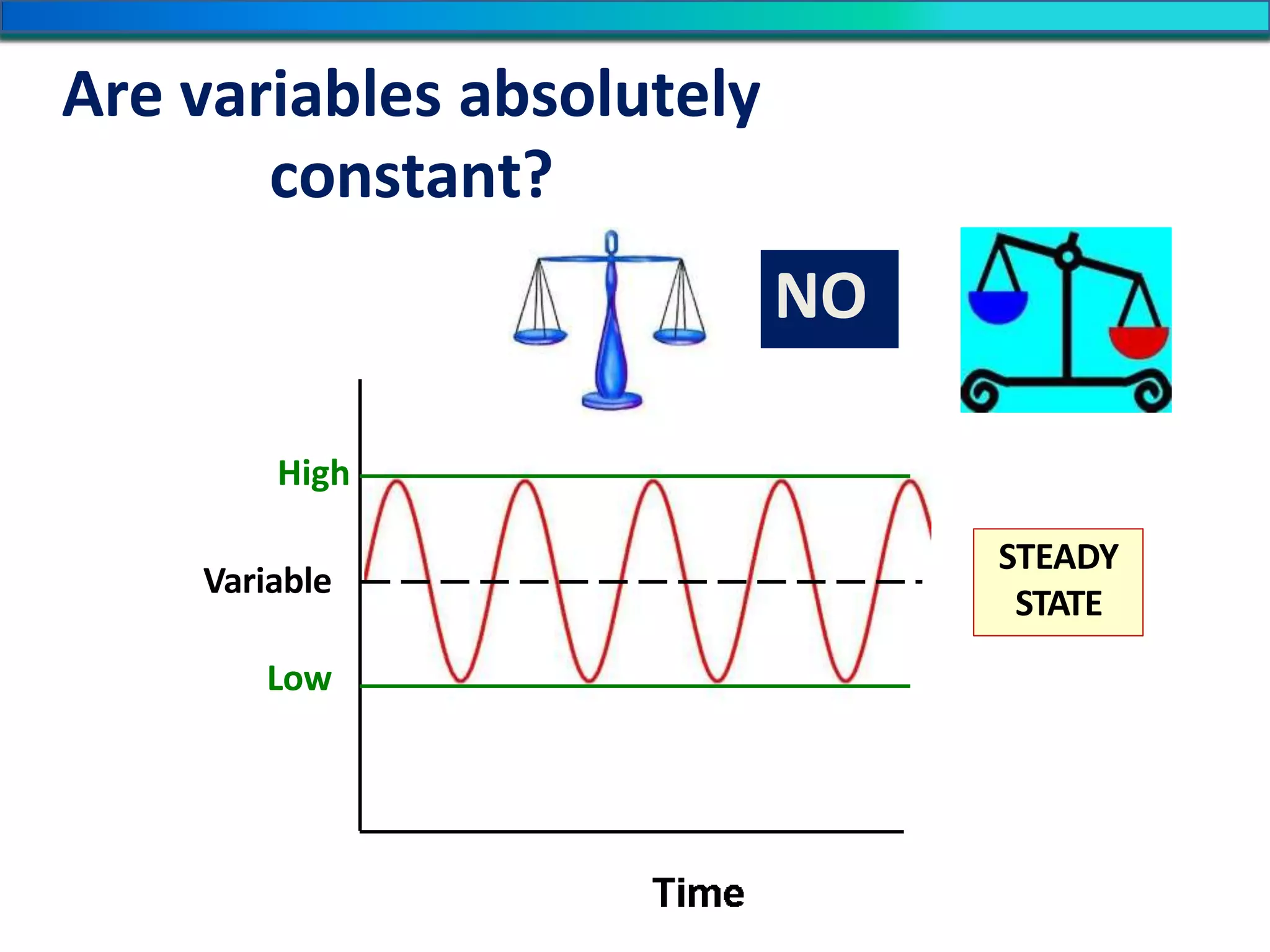 COORDINATION & RESPONSE PART 3 - HOMEOSTATIS - URINE FORMATION | PPT